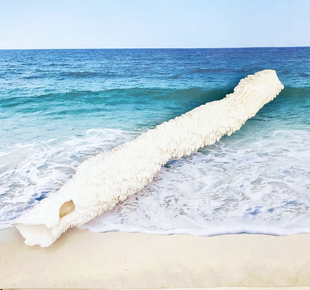 HUGE TUBE CORAL 10 & Thick 1 1/2 at Widest Point Free Shipping - Etsy