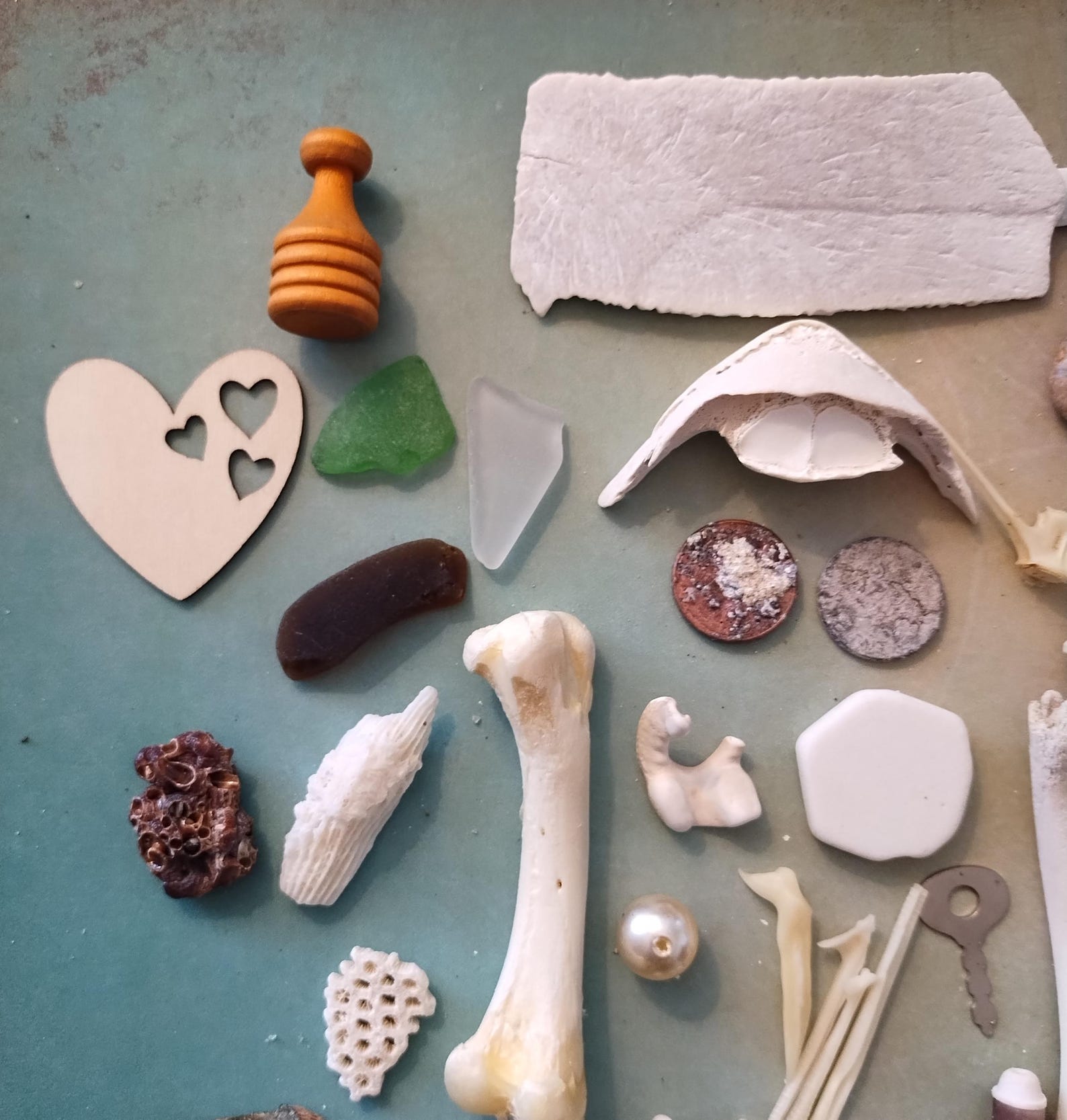 30pcs OSTEOMANCY BONE Throwing/reading Kit ~ Beach Themed Finds ~ Shark ...