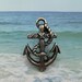 Choose From 2 Types EGG CASINGS ~ 1" to 18" ~ Horse Conch ~ Whelk ...