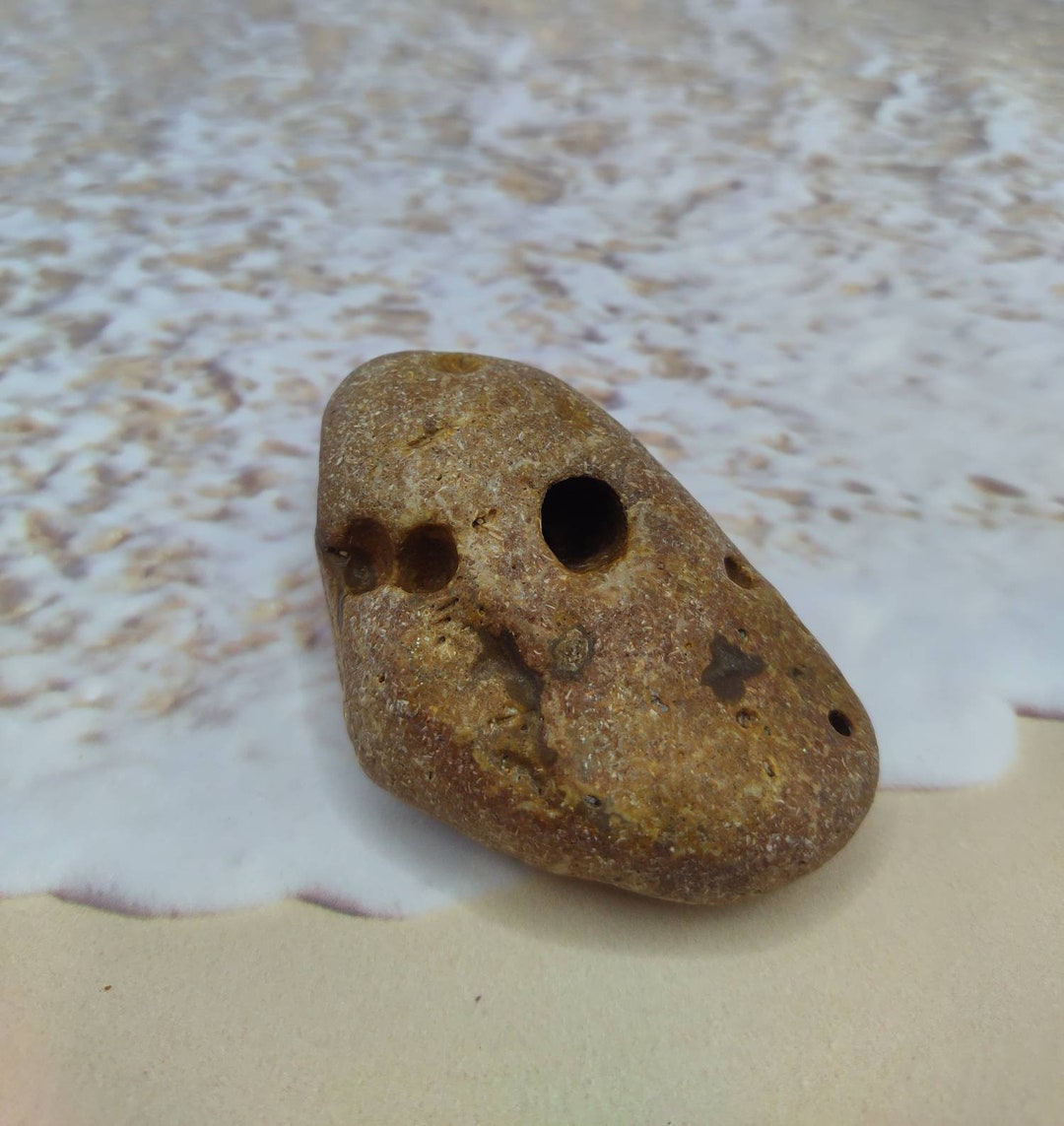 ROCK PEN HOLDER Ocean Rock Beach Find One-of-a-kind - Etsy