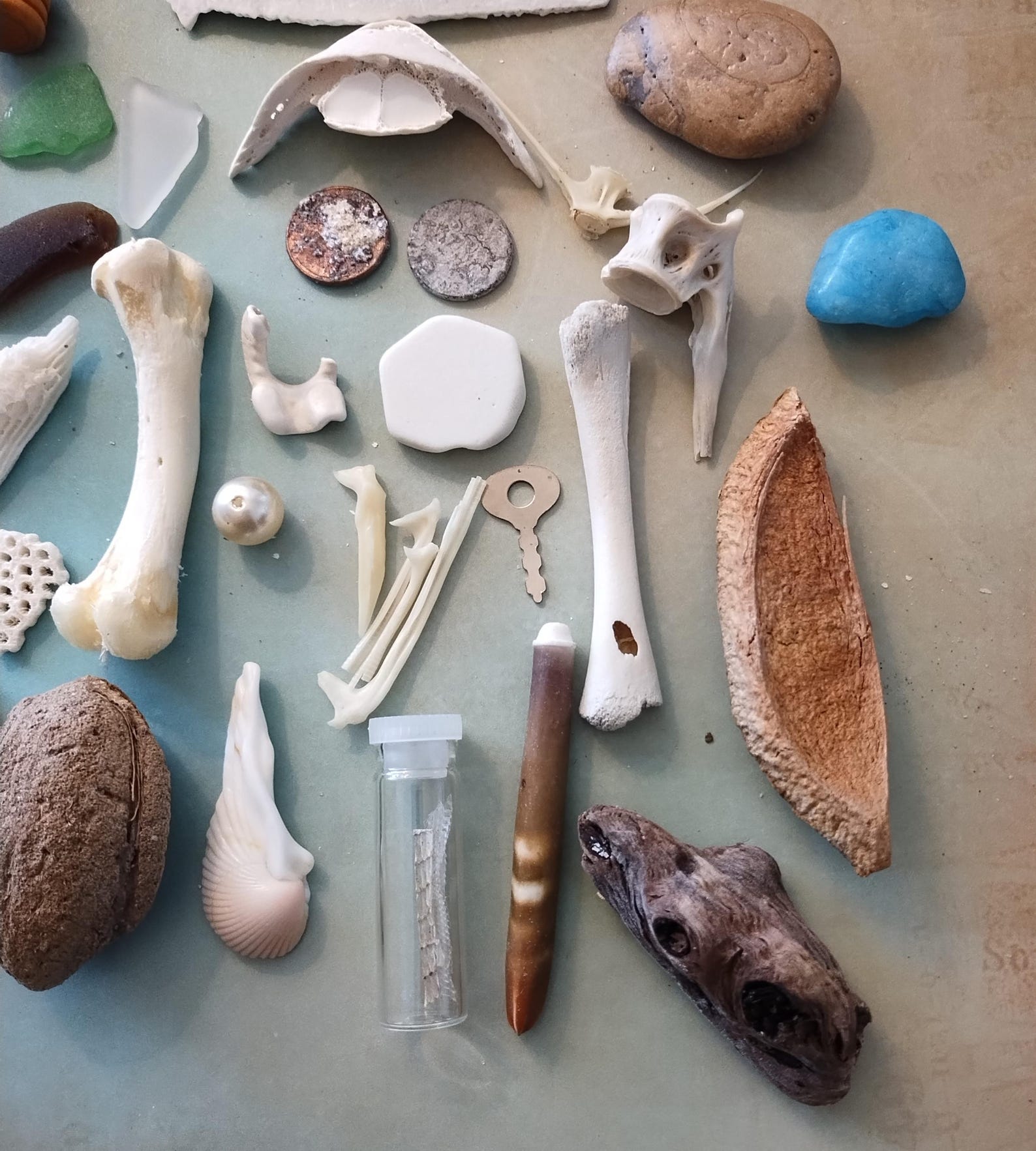 30pcs OSTEOMANCY BONE Throwing/reading Kit ~ Beach Themed Finds ~ Shark ...