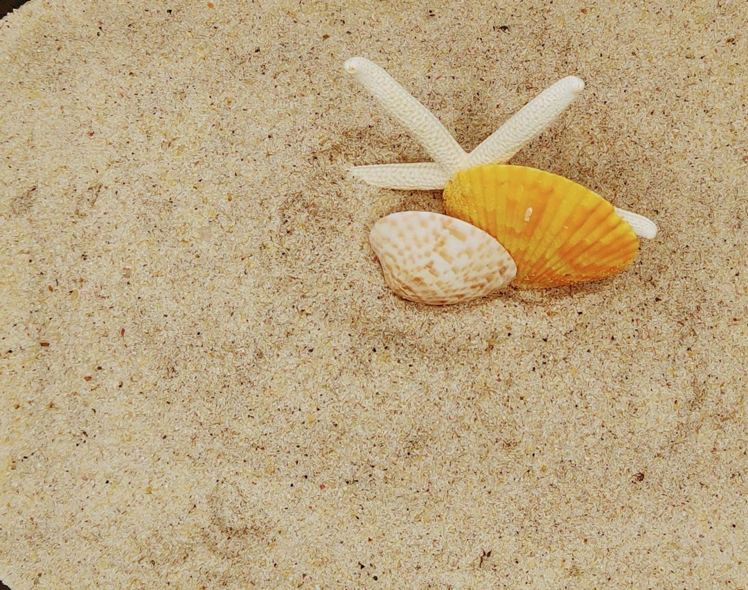 Sand NIANTIC BEACH SAND ~ Connecticut ~ Mccook's Beach ~ Zen-fairy ...