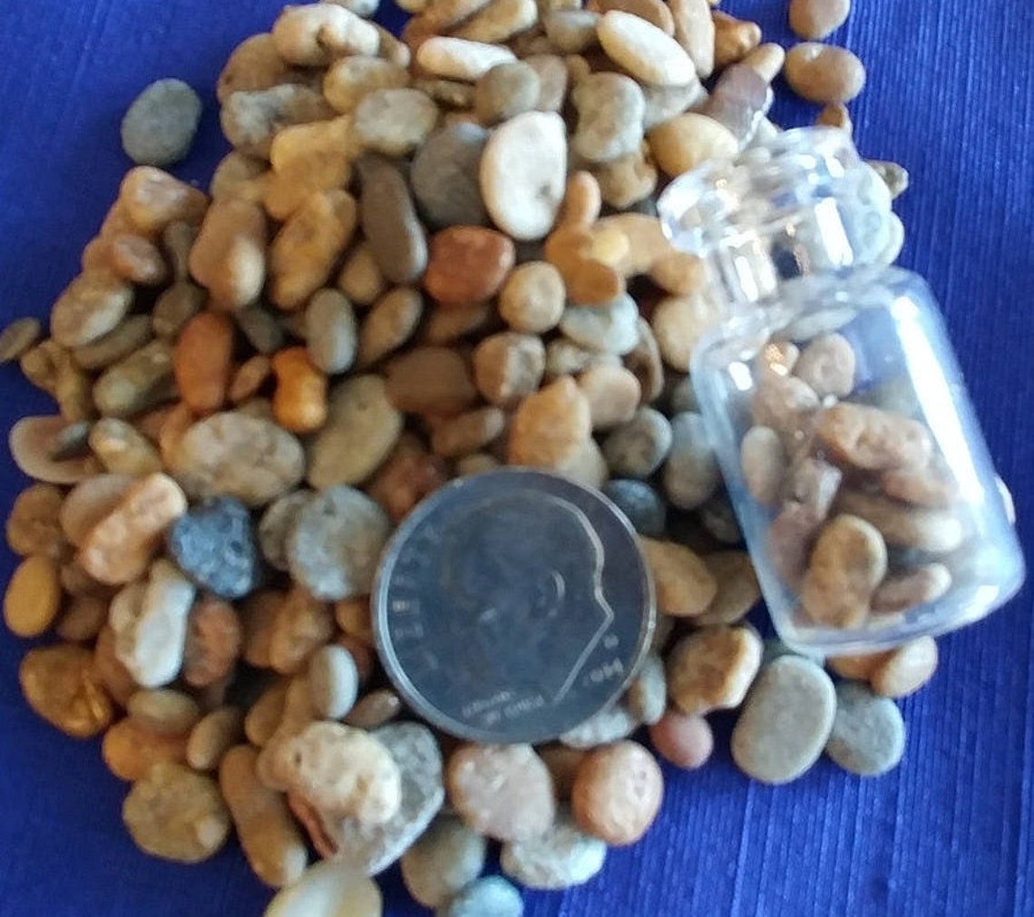 Stone MINI TEENY PEBBLES ~ 10-100pcs Surf Beach Tossed Smooth Rocks ...