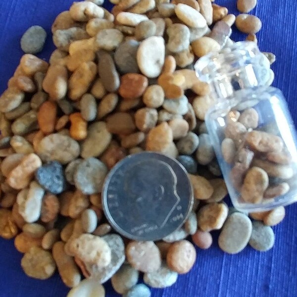 Painted Rocks Fairy Garden Cottage - Etsy