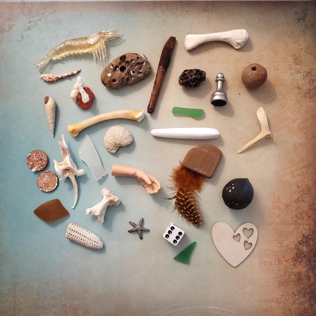 30pcs OSTEOMANCY BONE Throwing/reading Kit ~ Beach Themed Finds ~ Shark ...