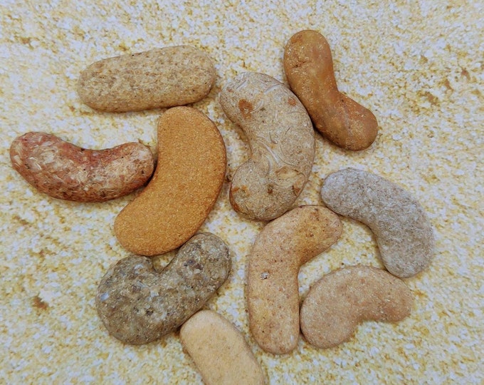 10 Naturally Formed STONE JELLY BEANS Surf Tossed Pebble Jelly Beans ...