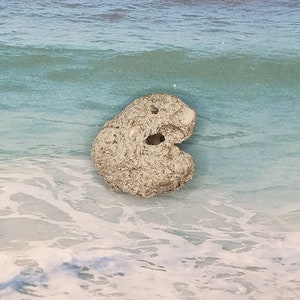 PAC MAN ROCK ~ Pebble ~ Beach Find ~ Natural Formation ~ Specimen - Etsy
