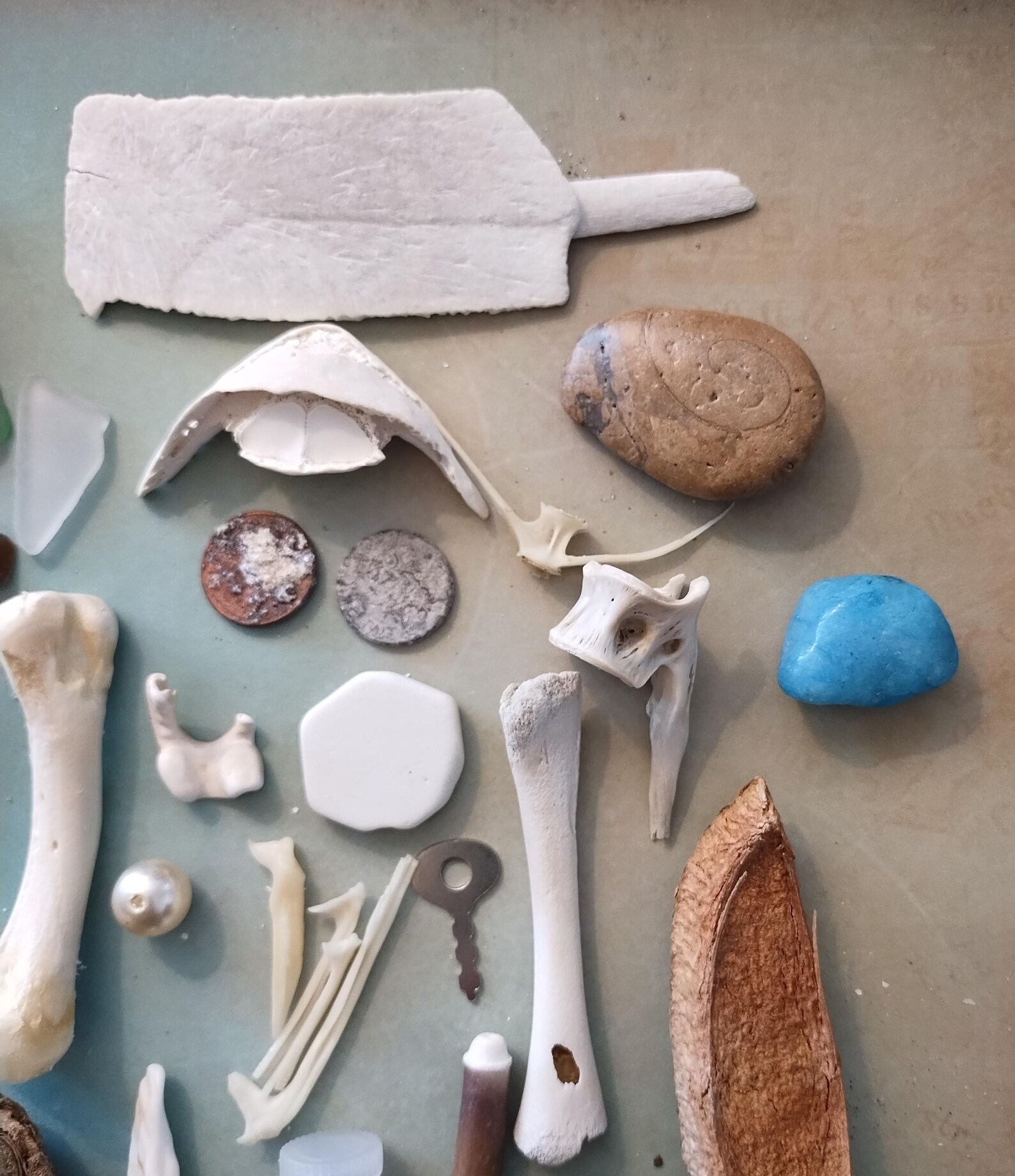 30pcs OSTEOMANCY BONE Throwing/reading Kit ~ Beach Themed Finds ~ Shark ...