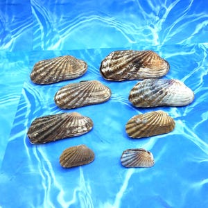 GreenwichTreasures - Etsy