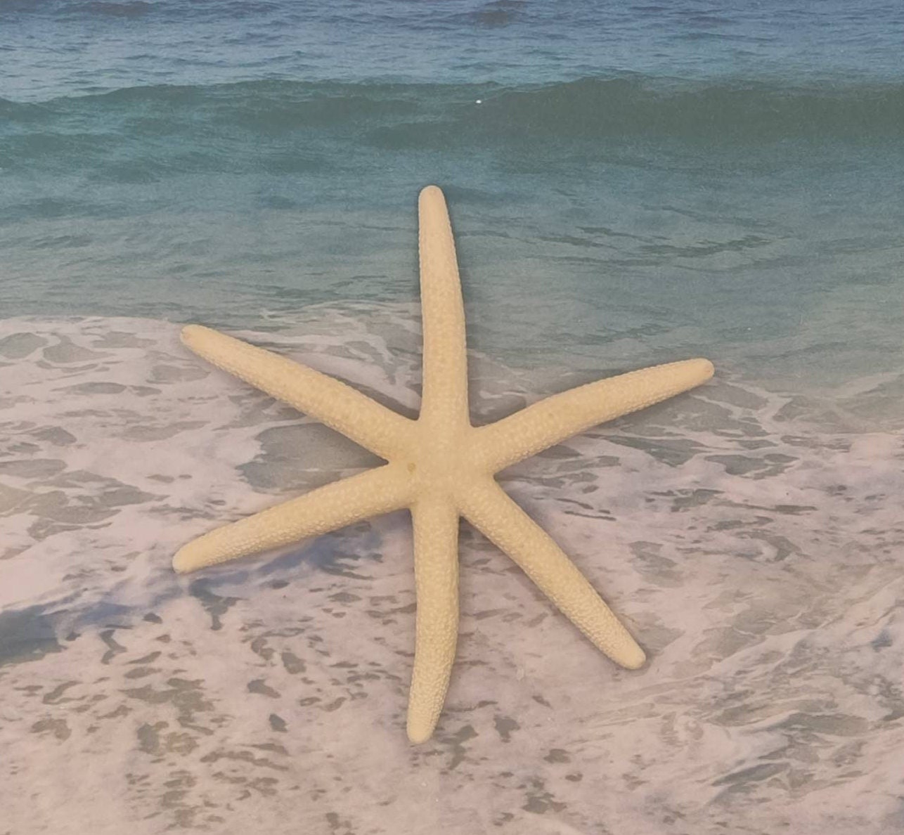 Rare Starfish