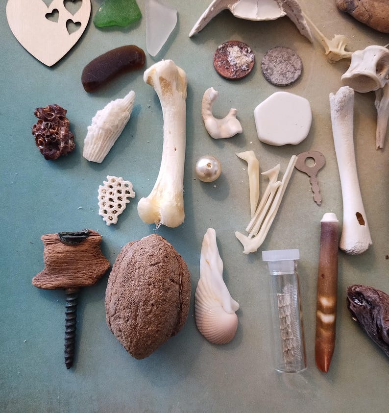 30pcs OSTEOMANCY BONE Throwing/reading Kit ~ Beach Themed Finds ~ Shark ...