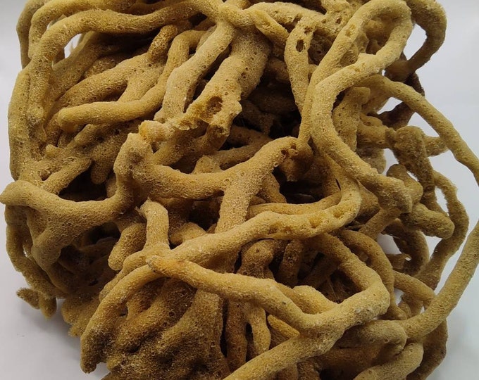 Large 16" X 11" FINGER SPONGE CLUSTER ~ Snake Hair Medusa Sponge ...