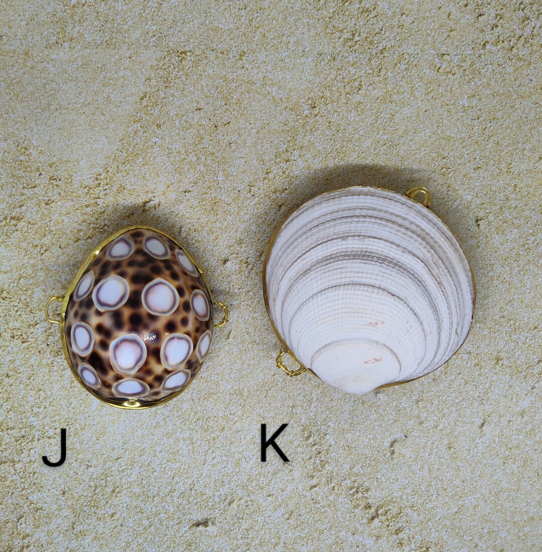SHELL TRINKET BOX ~ Holiday Gift Box ~ Pill Holder ~ Wedding ~ Seashell ...