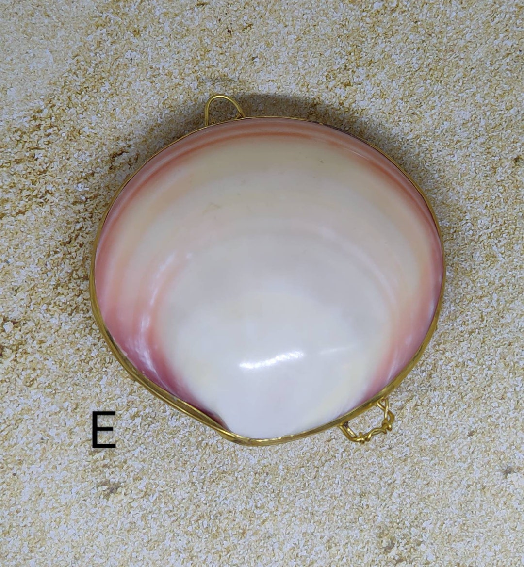 SHELL TRINKET BOX ~ Holiday Gift Box ~ Pill Holder ~ Wedding ~ Seashell ...