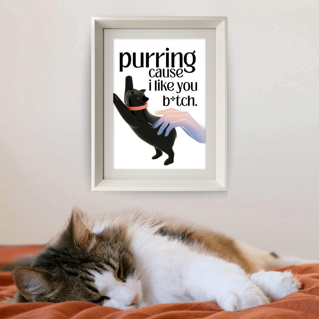 Bold Cat Quote Wall Art Printable, Funny Digital Cat Poster for Pet ...