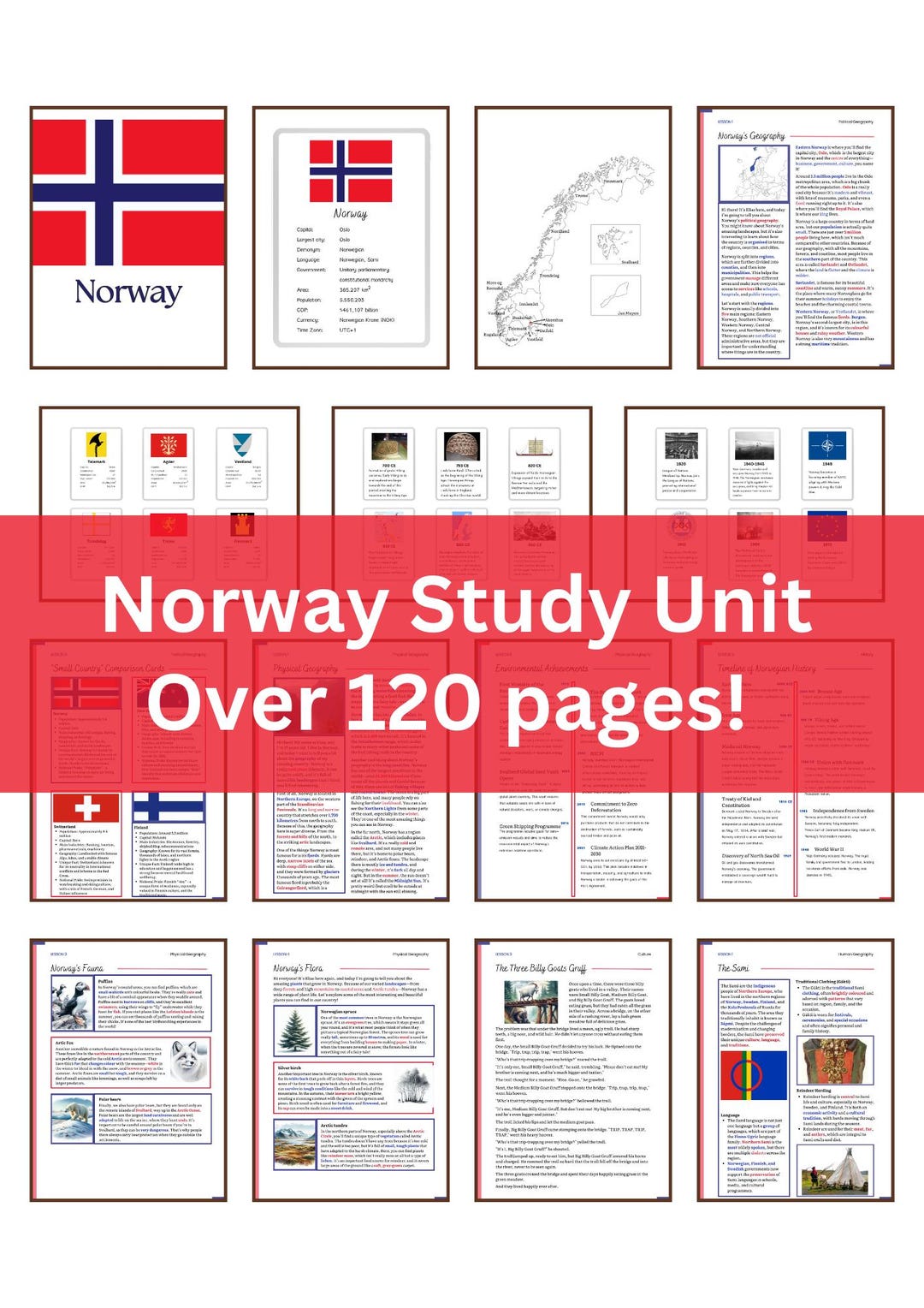 Norway Study Unit for Middle School (ages 11-14), US Version, XXL Map ...