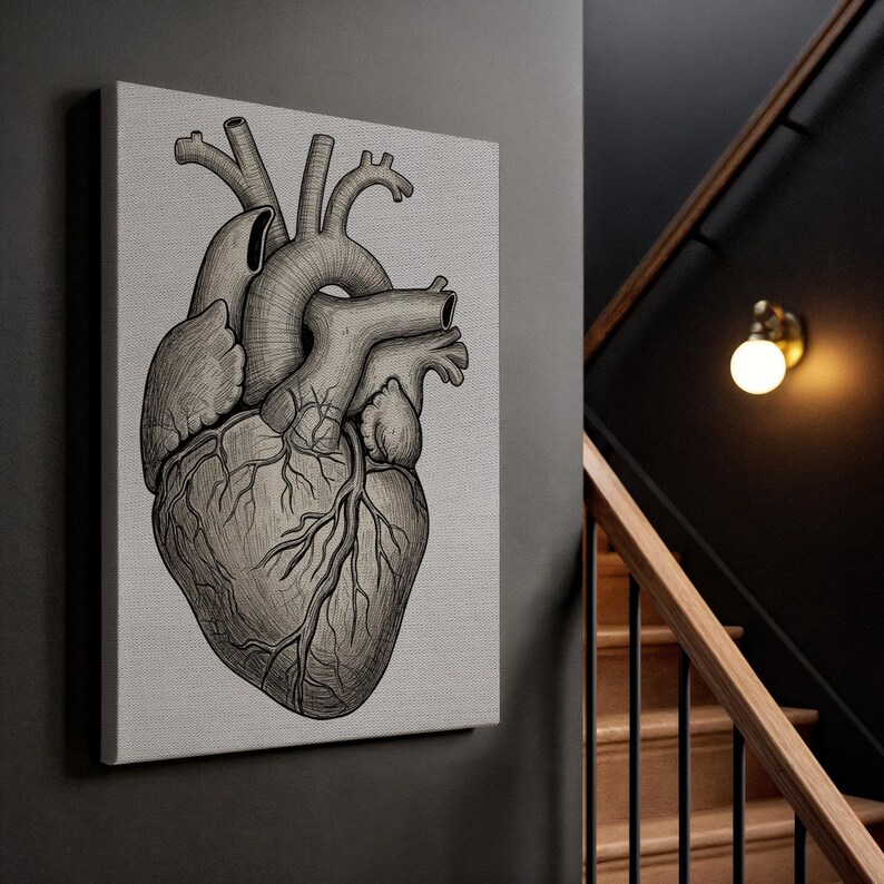 Anatomical Heart Outline, Monochrome Body Sketch, Ethereal Framed ...