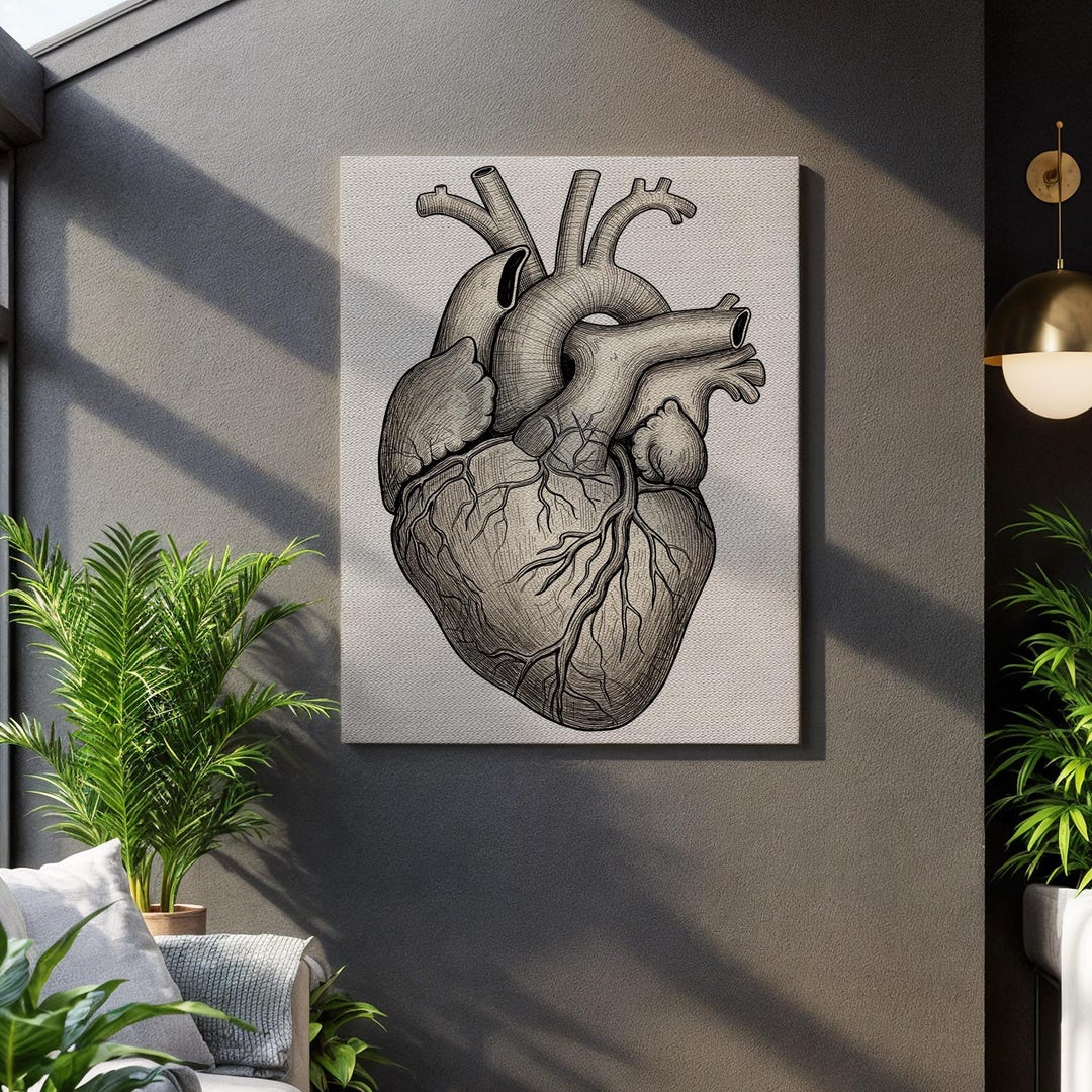 Anatomical Heart Outline, Monochrome Body Sketch, Ethereal Framed ...