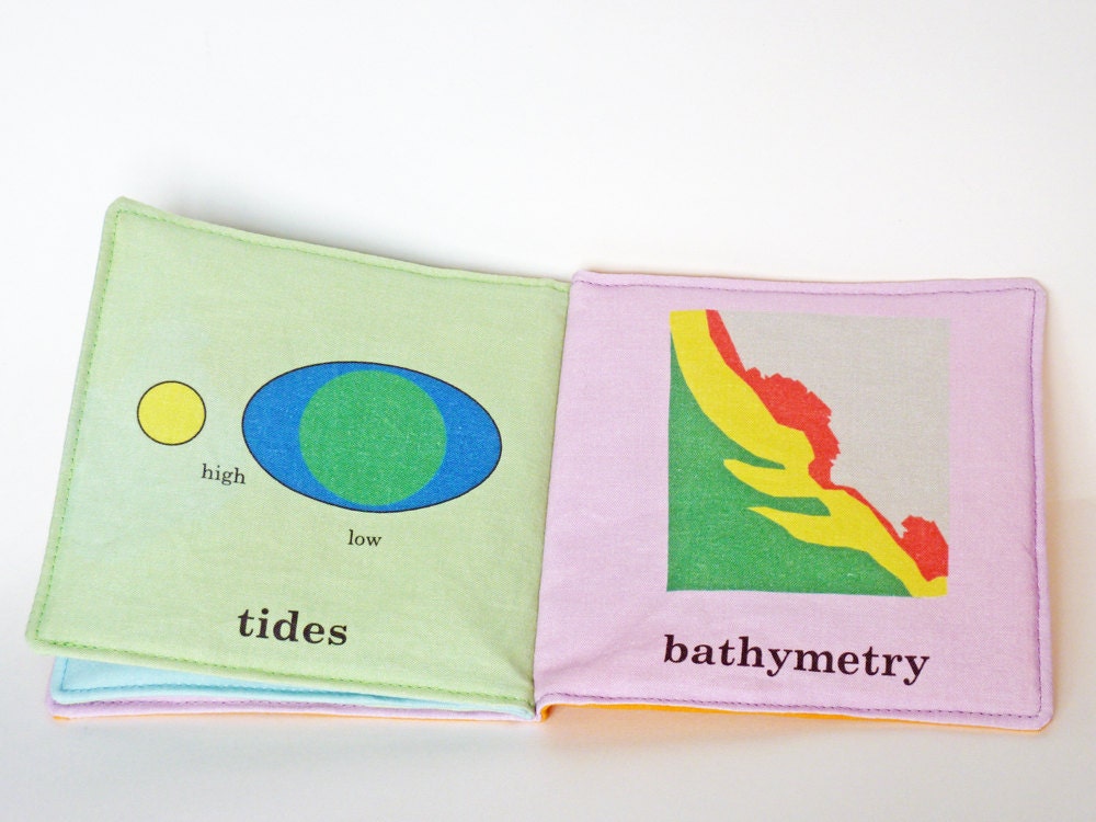 Baby's First Surf Science Book - Etsy