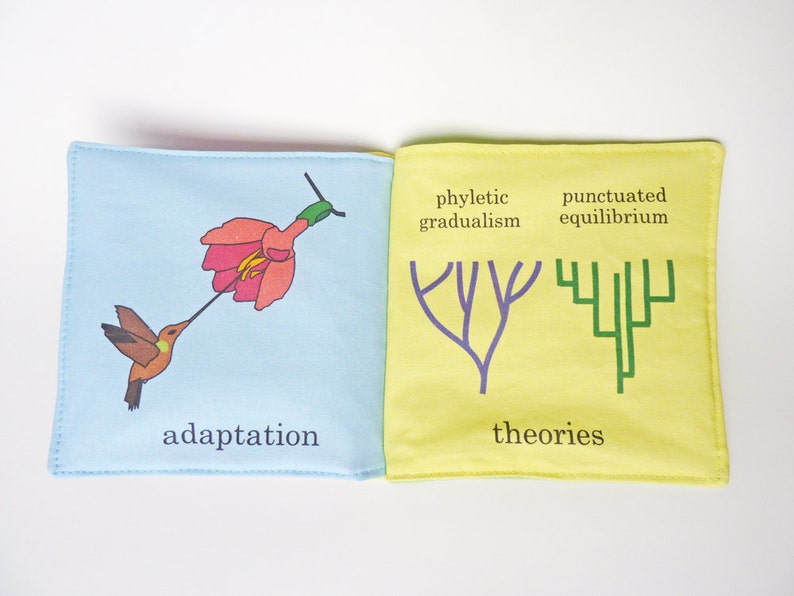 Baby's First Evolutionary Biology Book - Etsy