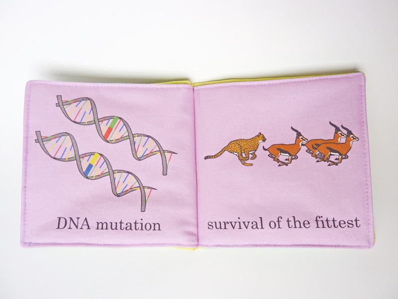 Baby's First Evolutionary Biology Book - Etsy