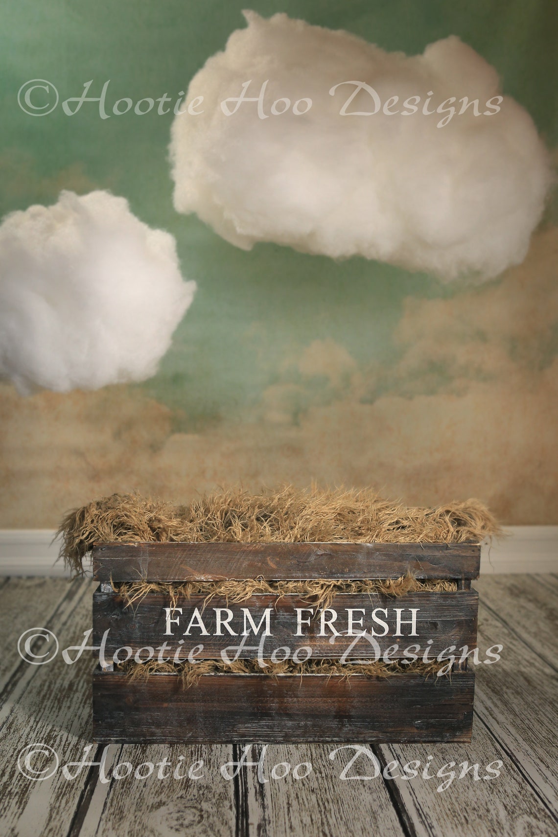 Farmers Markey Digital Backdrops/props on Handpainted Cloud Backdrop ...