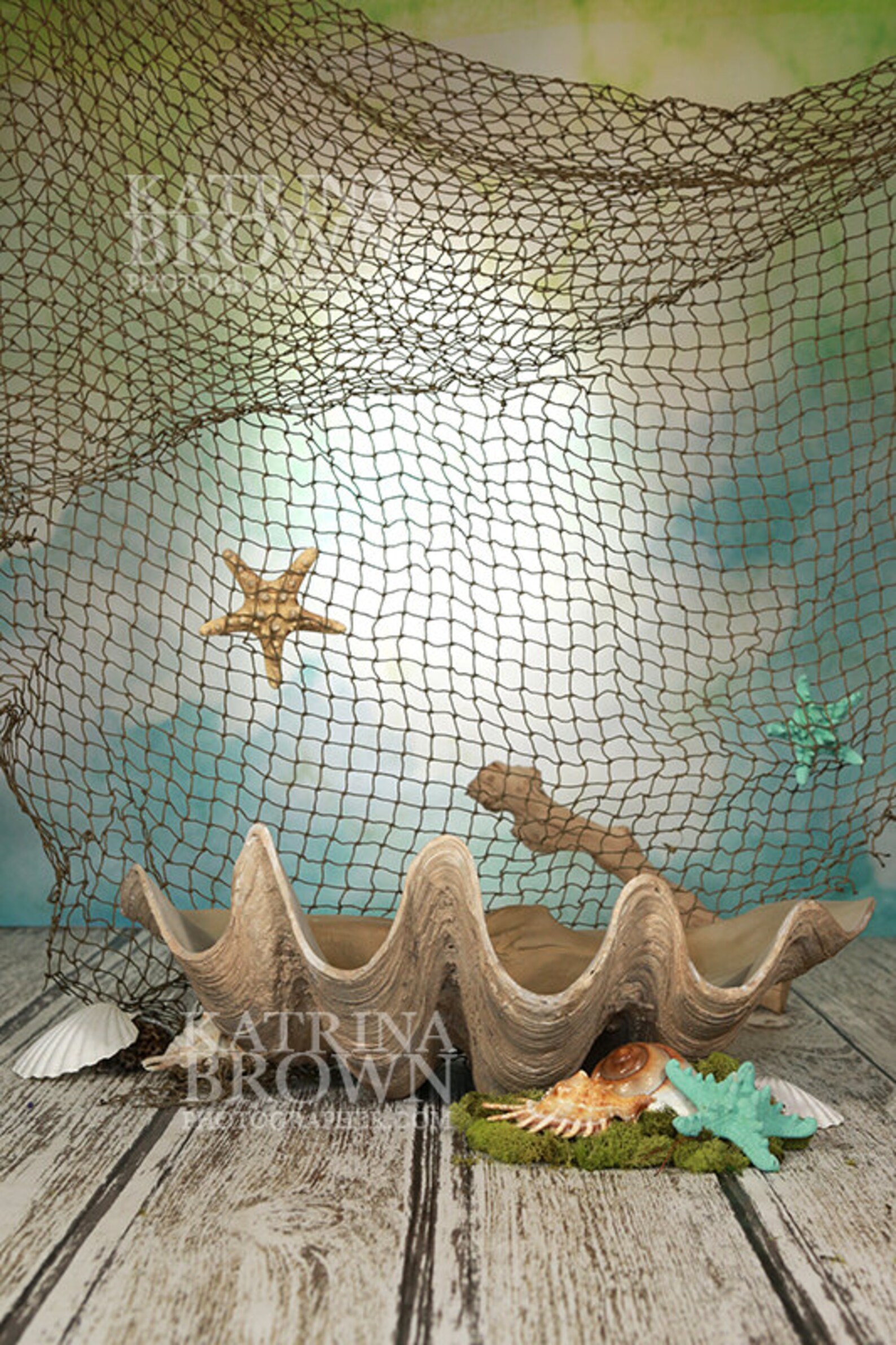 Mermaid Shell Digital Photography Backgrounds With Cover Layer. Images ...