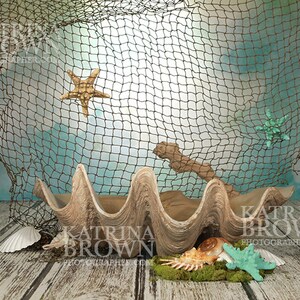 Mermaid Shell Digital Photography Backgrounds With Cover Layer. Images ...
