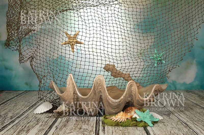 Mermaid Shell Digital Photography Backgrounds With Cover Layer. Images ...