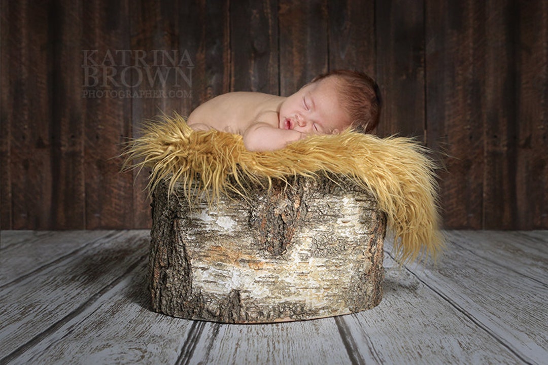 Newborn Infant Baby Photography Prop Tree Stump- Digital Files to Add ...