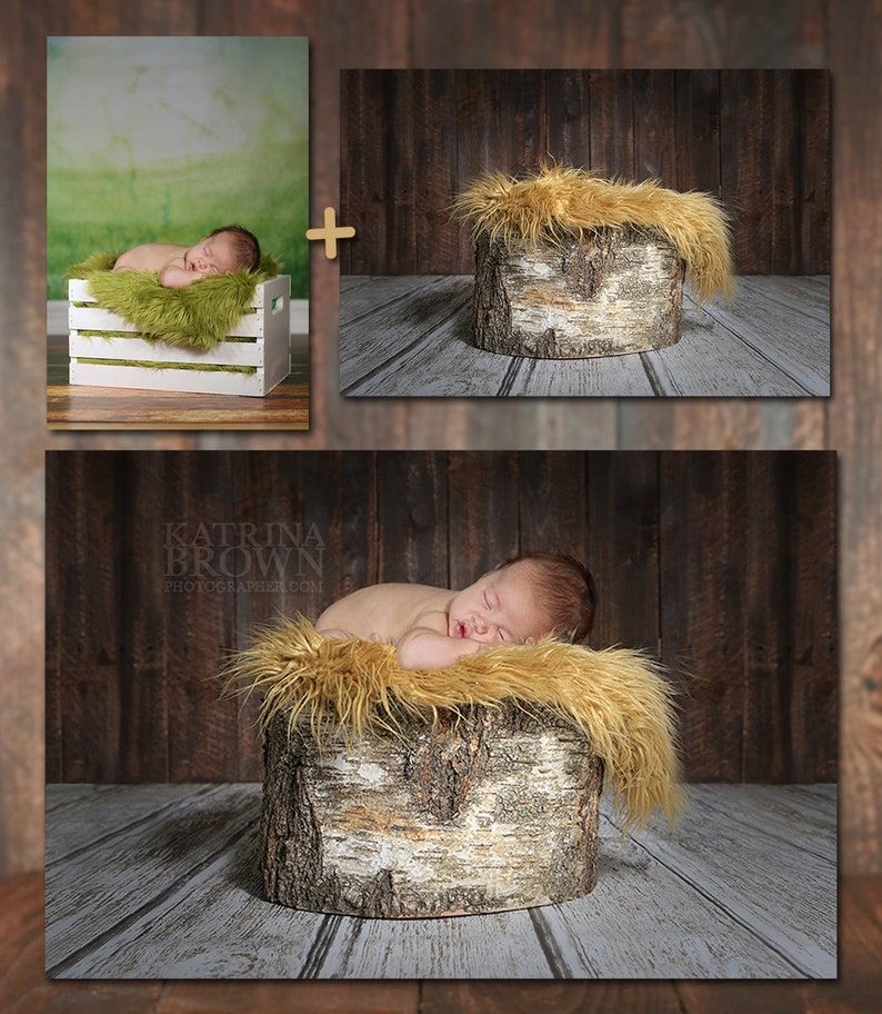 Newborn Infant Baby Photography Prop Tree Stump- Digital Files to Add ...