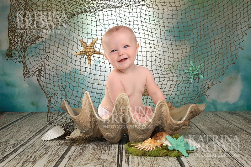 Mermaid Shell Digital Photography Backgrounds With Cover Layer. Images ...