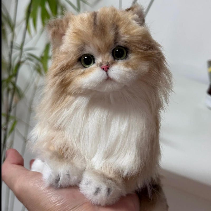 Realistic Lifelike Kitten - Etsy