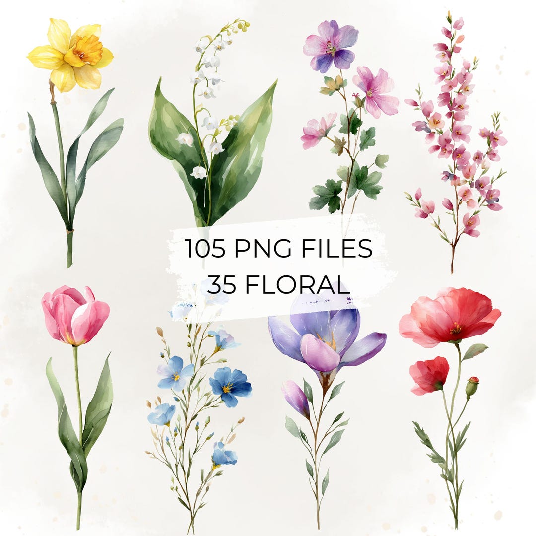 Watercolor Flower Clipart Bundle, 105 Botanical Pngs, 35 Floral Stems ...