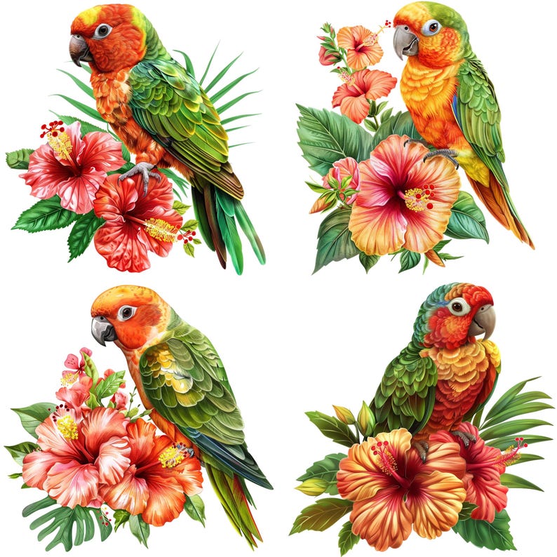 Tropical Parrot Clipart Bundle, Exotic Bird PNG Illustrations for ...