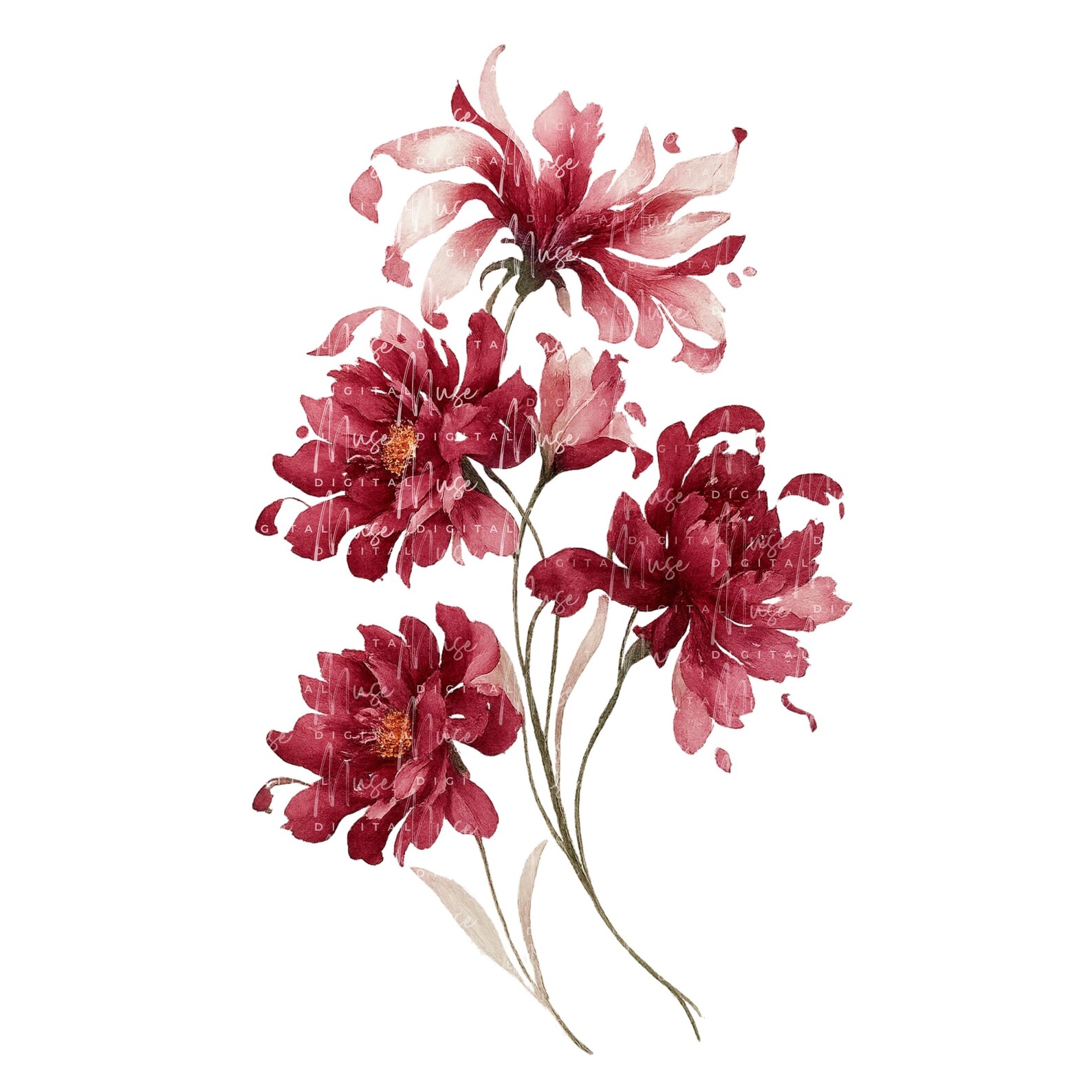 Watercolor Red Floral Clipart Bundle: Hand-painted Botanical PNG ...