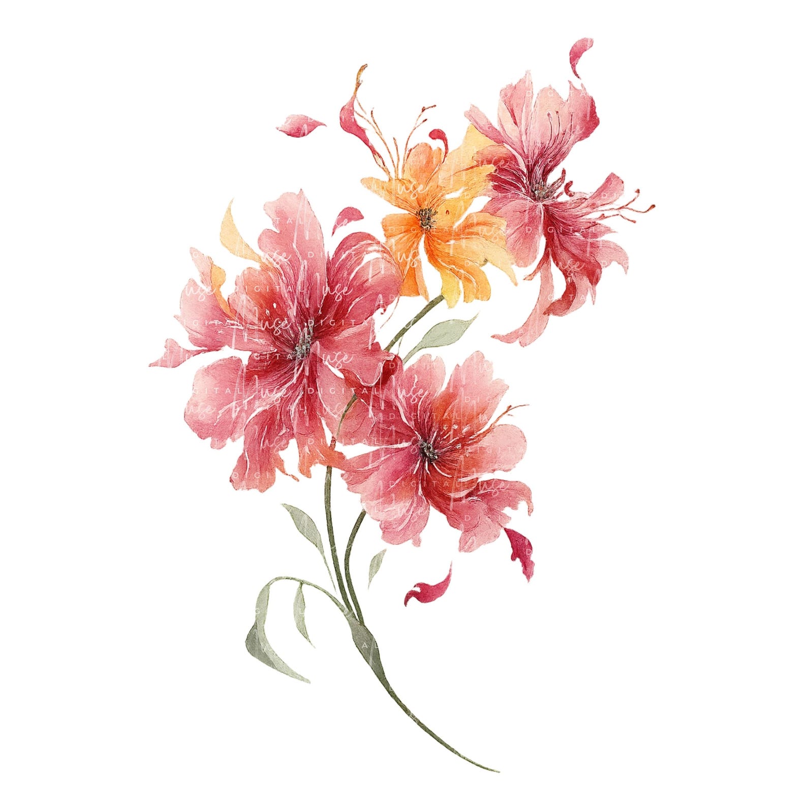 Watercolor Red Floral Clipart Bundle: Hand-painted Botanical PNG ...