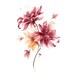 Watercolor Red Floral Clipart Bundle: Hand-painted Botanical PNG ...