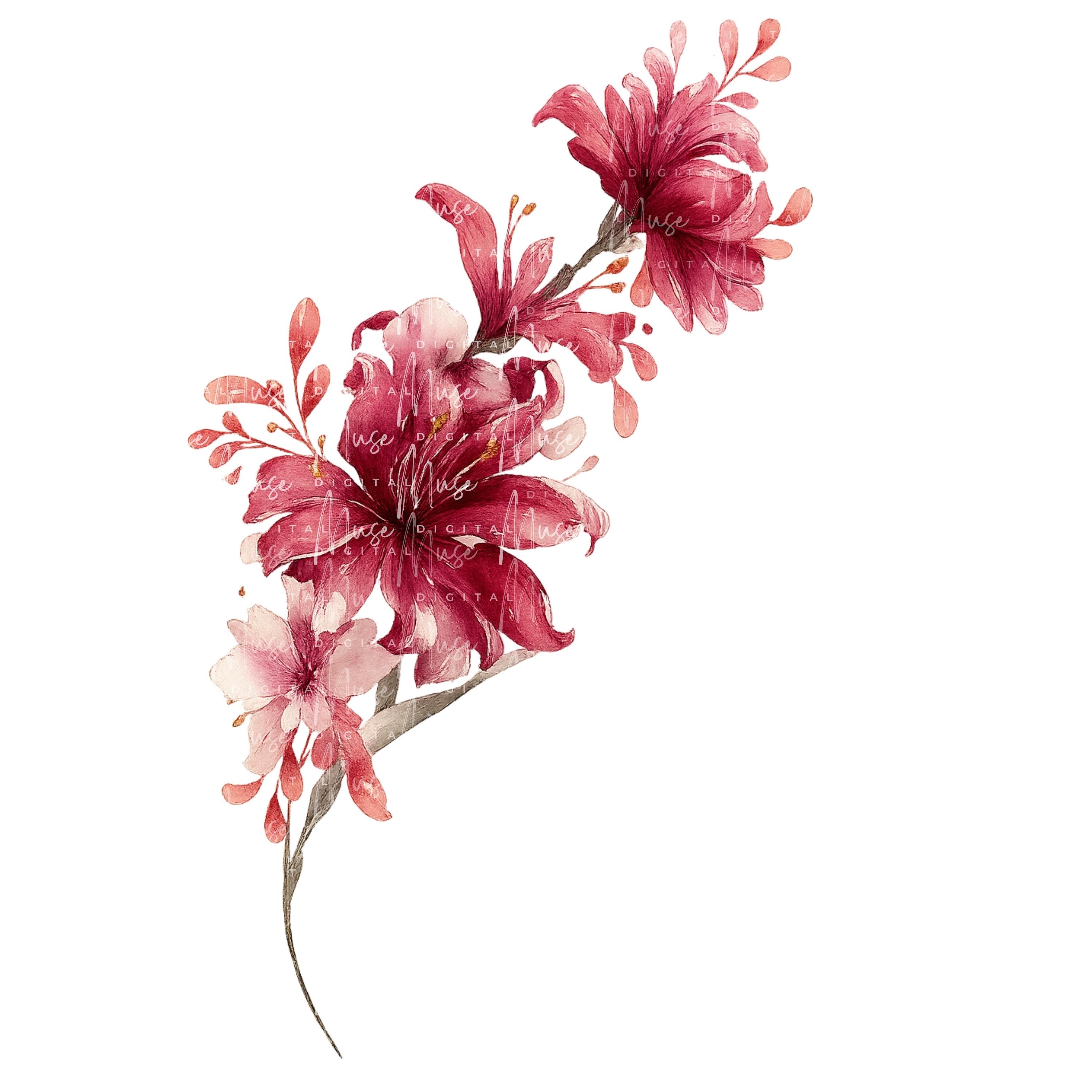 Watercolor Red Floral Clipart Bundle: Hand-painted Botanical PNG ...