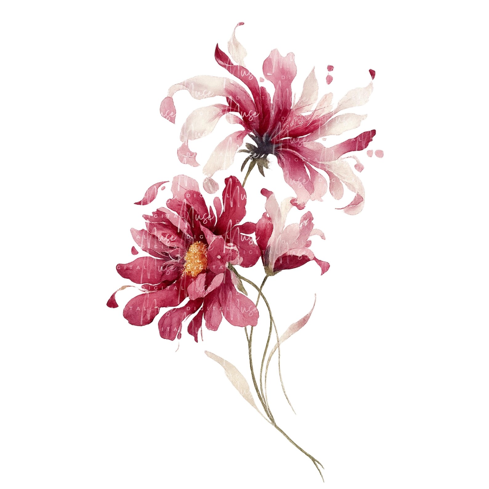 Watercolor Red Floral Clipart Bundle: Hand-painted Botanical PNG ...