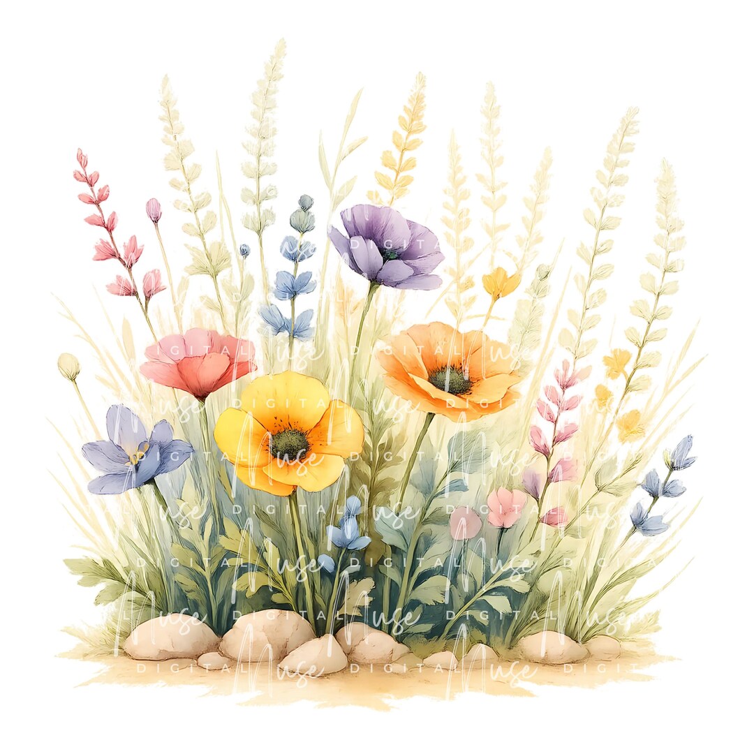 Watercolor Wildflower Clipart: PNG Flowerbed Printables (digital ...