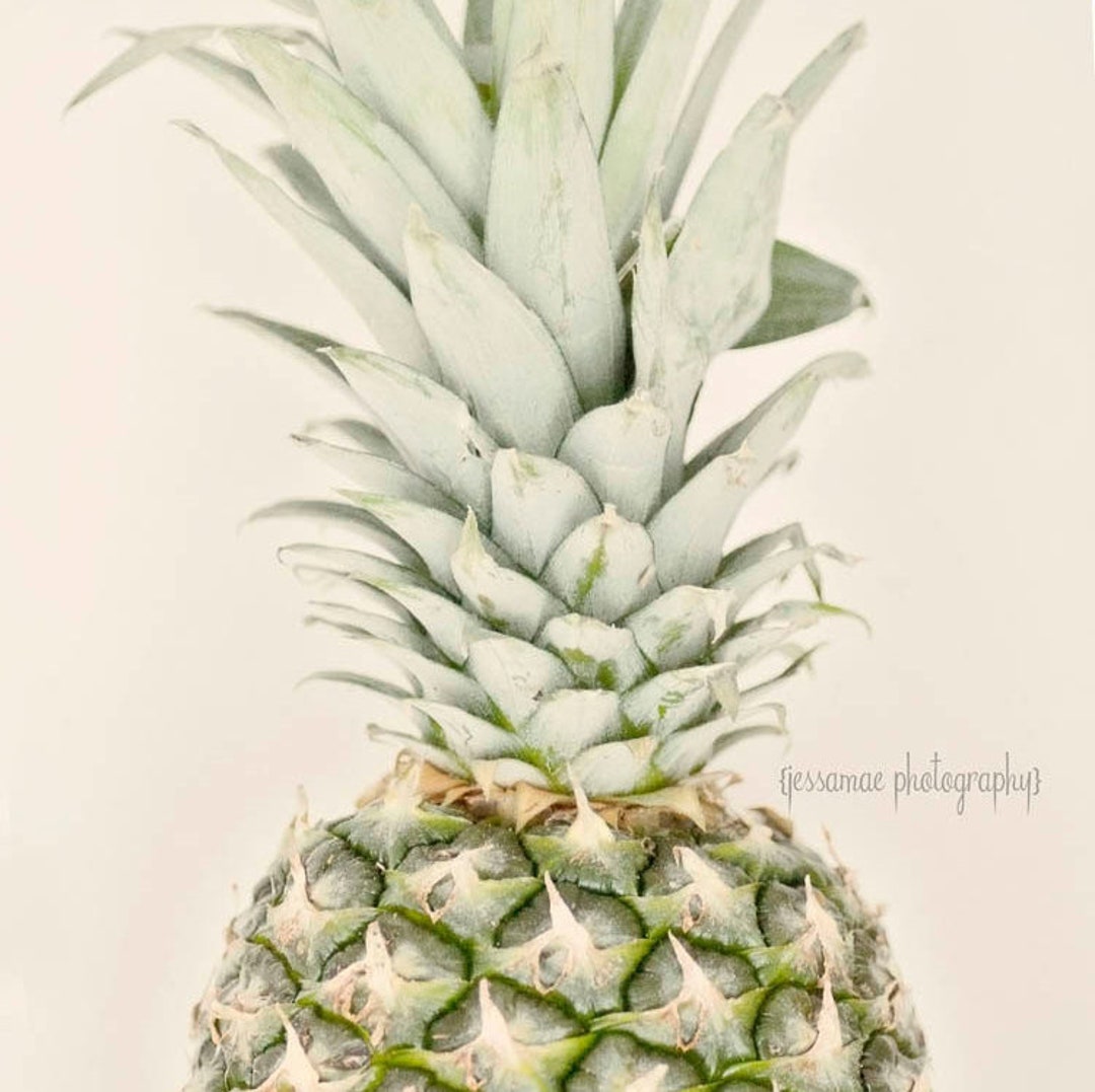 Pineapple Print, Pineapple Photography Print, Pineapple Decor, Tropical ...