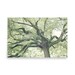 Oak Tree Photography Print Giant Oak Tree Print Southern Oak - Etsy