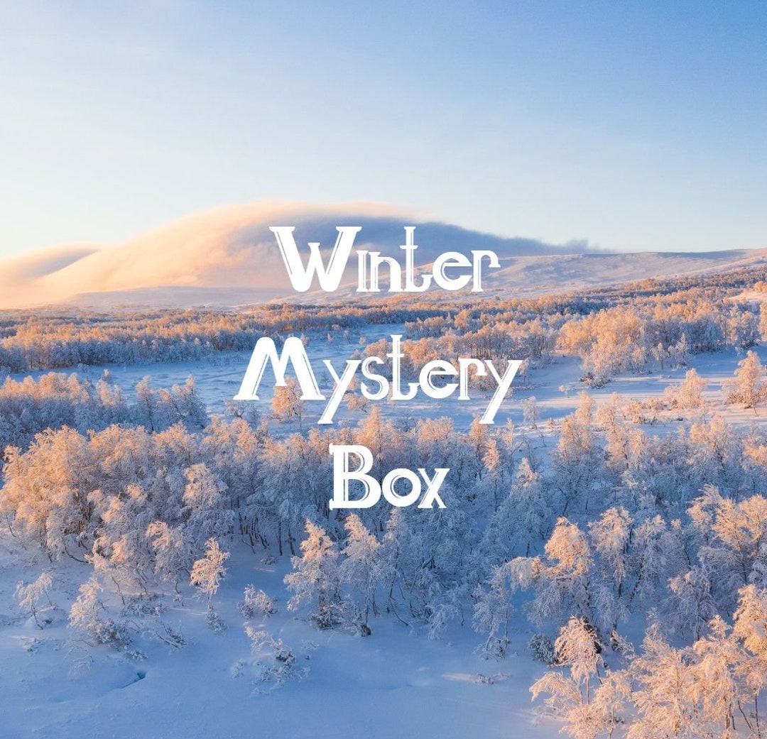 Winter Mystery Box, Natural Woodland Jewelry Box, the Lucky Dip, Nature ...