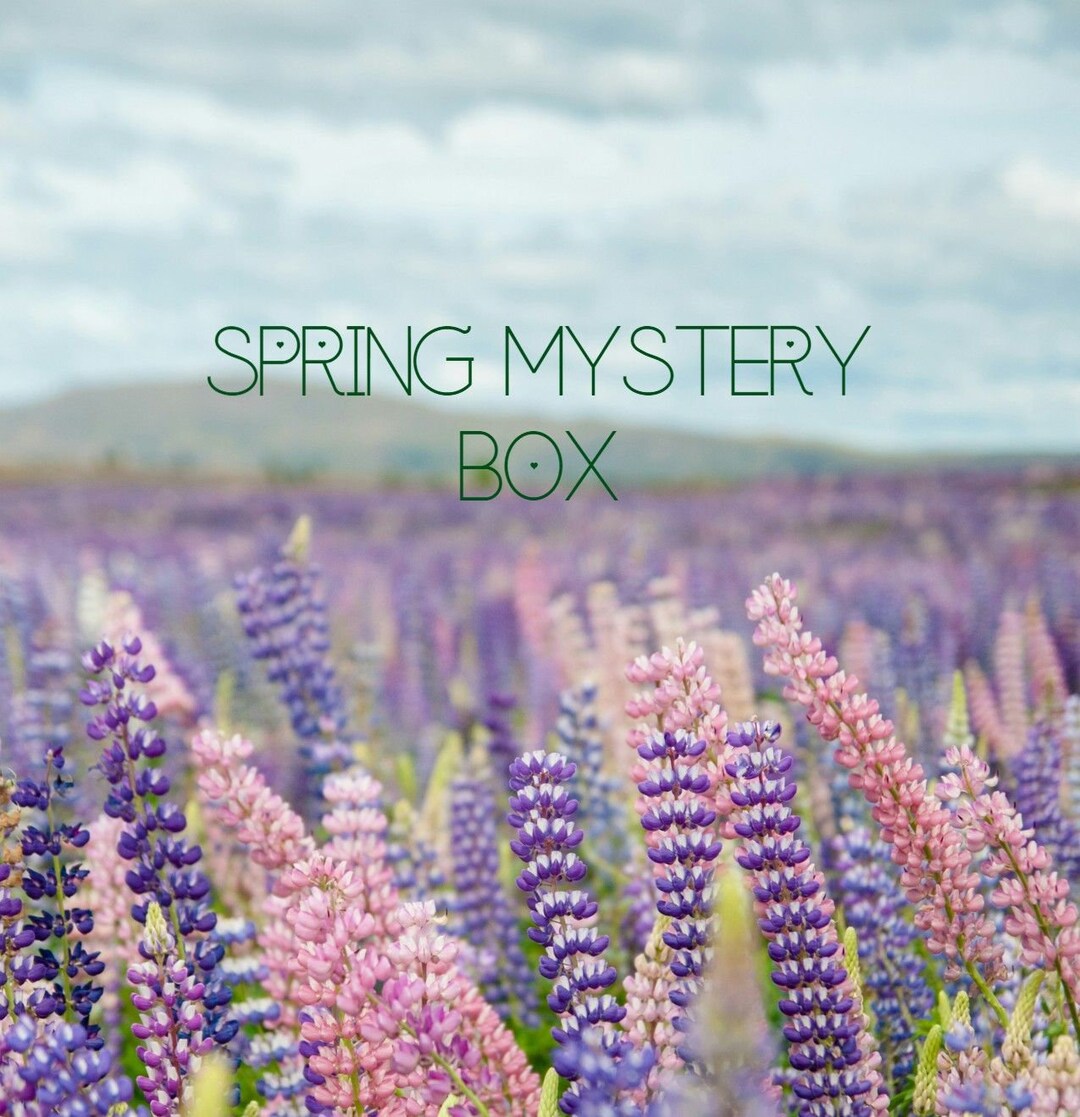 Spring Mystery Box, Natural Woodland Jewelry Box, the Lucky Dip, Nature ...