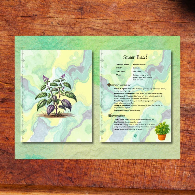 Printable Sweet Basil Journal Pages PDF – Plant Profile, Uses, Notes ...