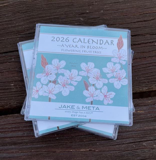 2026 Year in Bloom Mini Calendar - Etsy