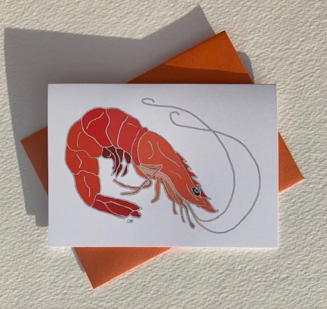 Shrimp Note Cards - Etsy