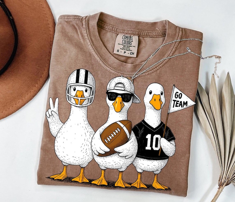 Funny Silly Goose Football Png, Retro American Football Goose, Goose ...