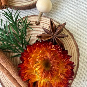 Botanical Wood Slice Ornaments: Strawflower, Star Anise & Cinnamon (set ...